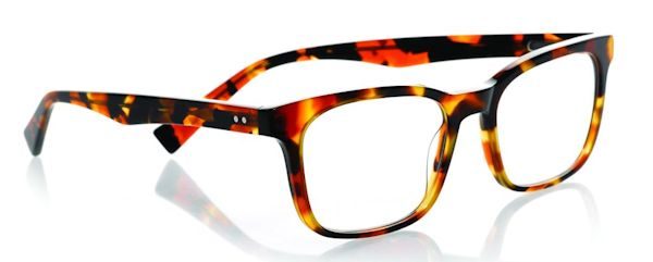 Cheaters Online Store - Cheaters Reading Glasses